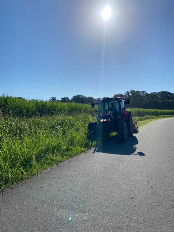 Tree Cutting and Grass Shredding - St. Landry Parish District 6 Public ...